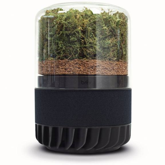 Briiv 2 Pro: AI-Powered Moss Air Purifier, Diffuser & Air Monitor ...
