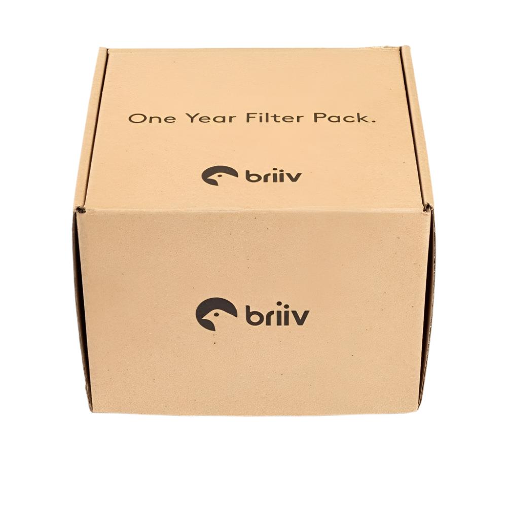 Briiv Activated Carbon One Year Replacement Filter Set – Aerify ...